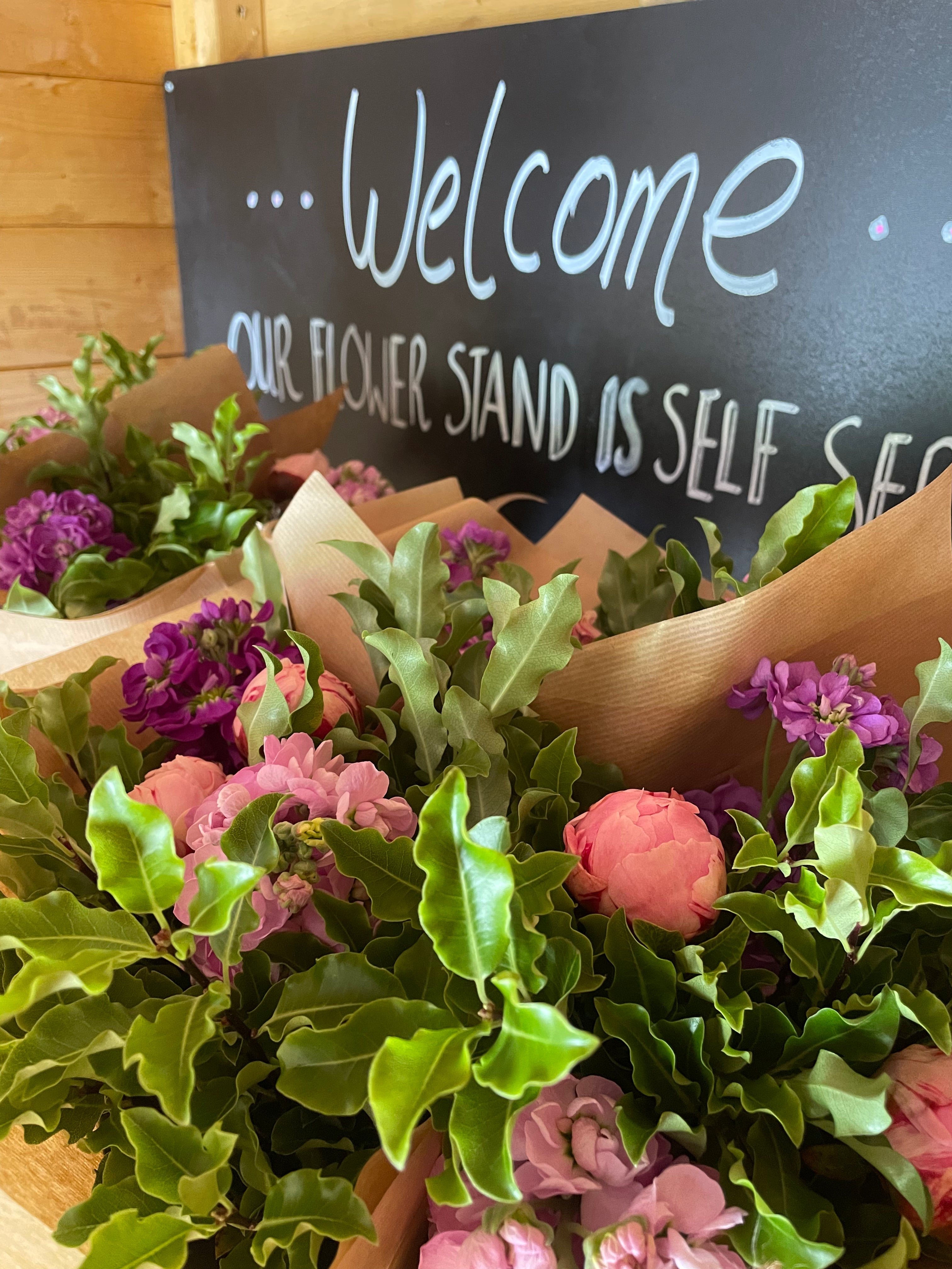 One Small Seed Flower Farm