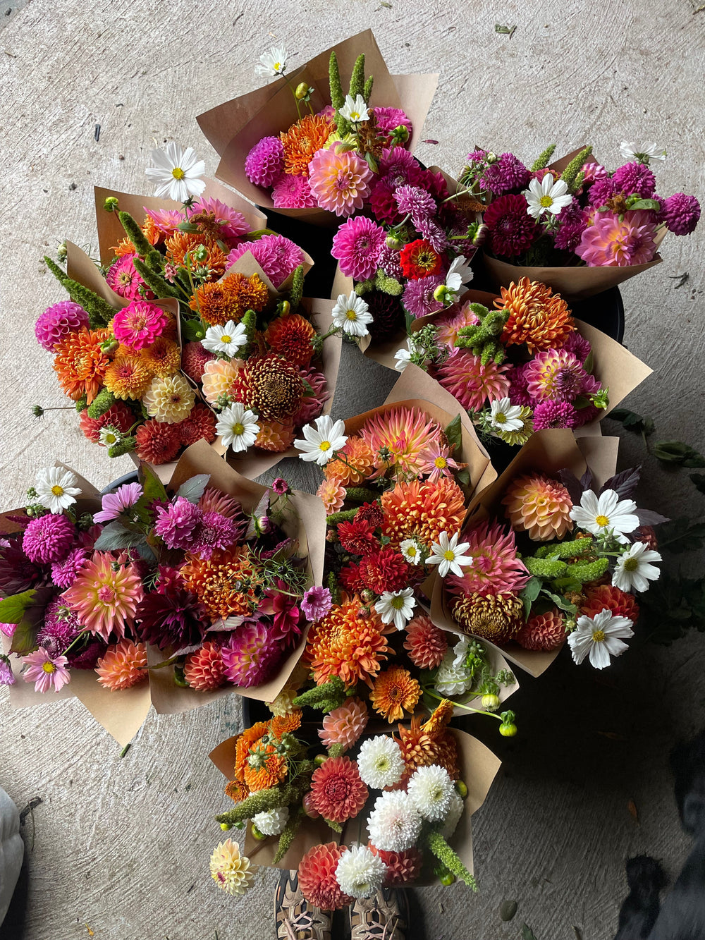 One Small Seed Flower Farm